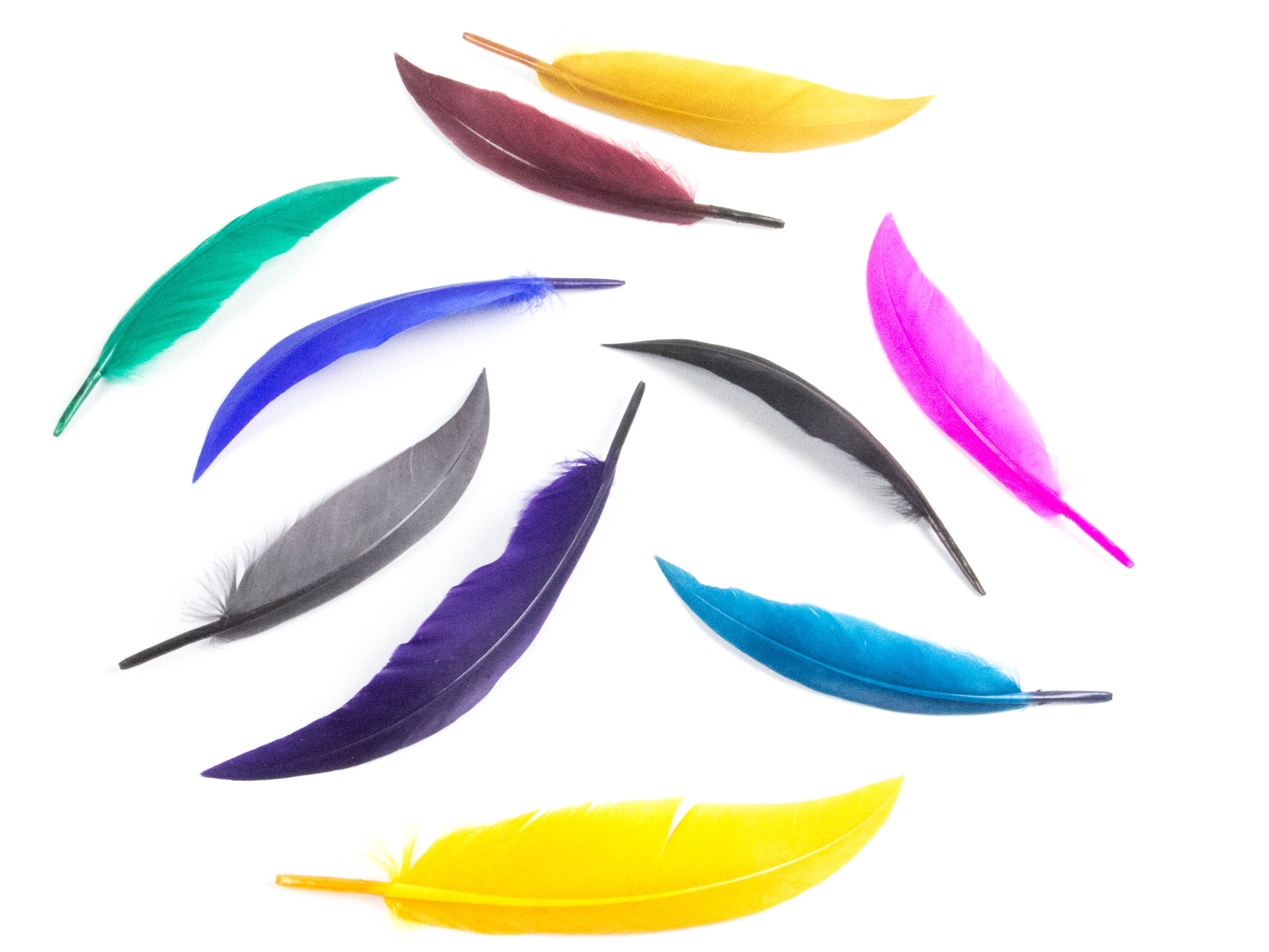 Goose Sword (Pack of 25) – Jaffe et Fils